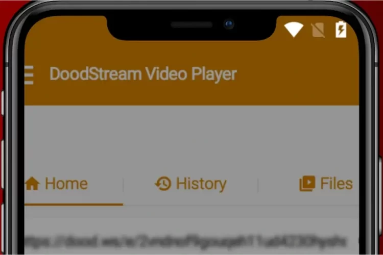 4 Cara Download Video Doodstream Web Secara Gratis dan Mudah
